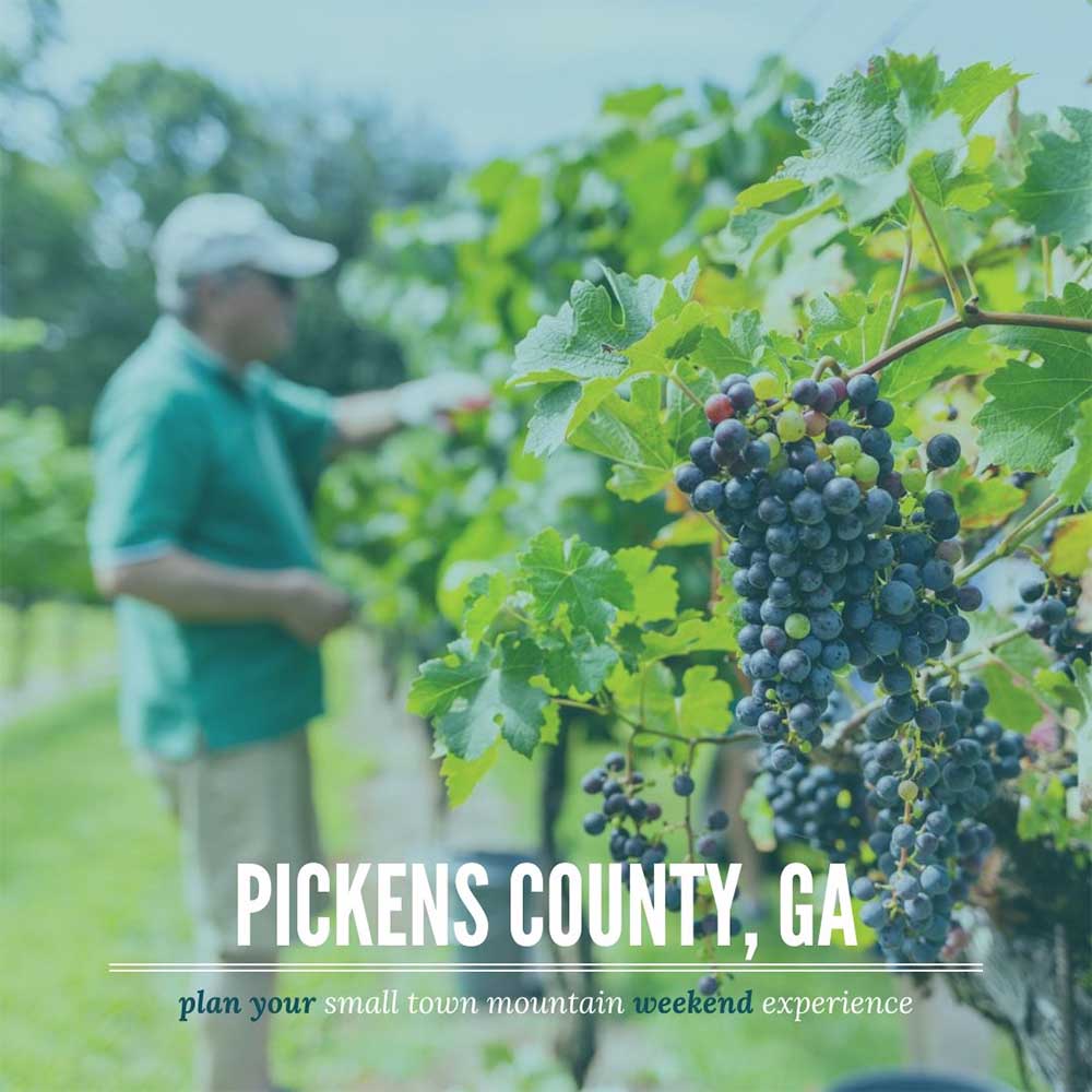 Plan Your Weekend in Pickens - Pickens County Georgia News